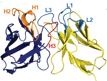 GrayLab Publications | Johns Hopkins University